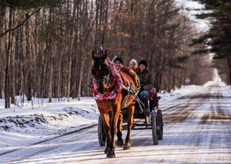 13 Nostalgic Horse Drawn Sleigh Rides & Carriage Rides in Michigan ...