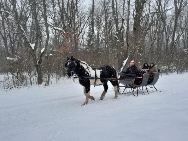12 Nostalgic Horse Drawn Sleigh Rides & Carriage Rides in Michigan ...