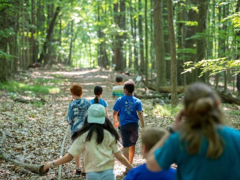 Explore Science, Music, Sports and Nature at Calvin University Summer ...