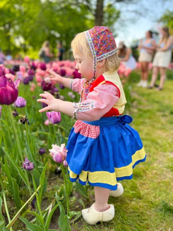 Holland Tulip Festival 2025: Insider's Best Tulip Time Tips