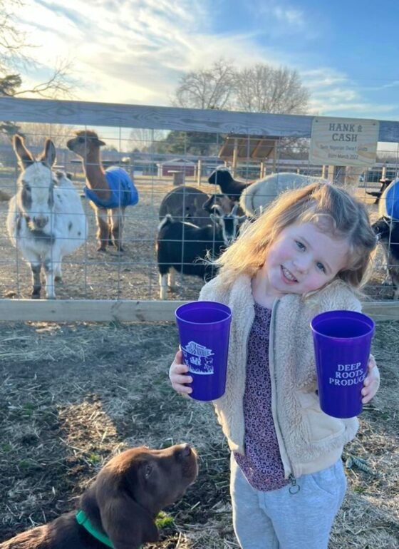 Head to Deep Roots for Farm Fresh Donuts, Corn Maze, Glow Nights & More ...