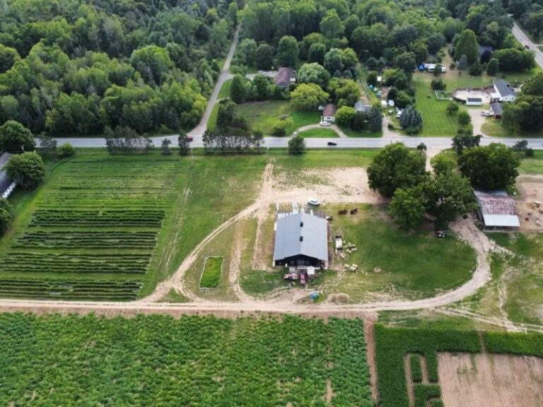 Deep Roots Farm: Flower Fields, Fun Events & More Planned for 2024 ...