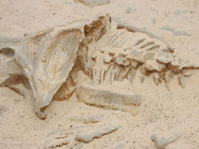 Gigantic Dinos Take Over John Ball Zoo for Summer 2024! - grkids.com