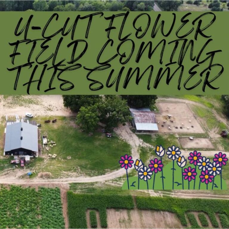 Deep Roots Farm: Flower Fields, Fun Events & More Planned for 2024 ...