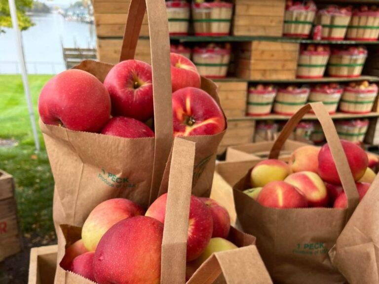 25 Epic Things to do in Charlevoix MI for Summer, Spring or Fall ...