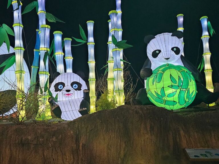 Grand Rapids Lantern Festival Returns to John Ball Zoo for 2025 ...