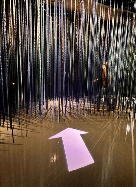 Bet! Color Factory Chicago will Rizz You Up, No Cap - grkids.com