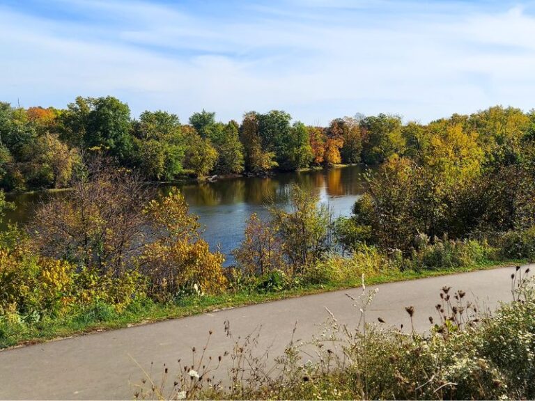 Tree House Tops Off Stunning Grand Ravines Park in West MI: Enjoy 2 ...