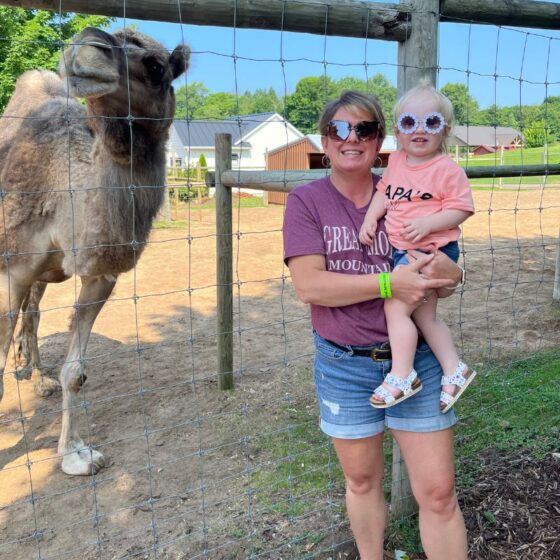 Lewis Farms 2026: Mosey Over to this Fun-Filled Adventure Farm ...