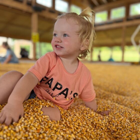 Lewis Farms 2026: Mosey Over to this Fun-Filled Adventure Farm ...