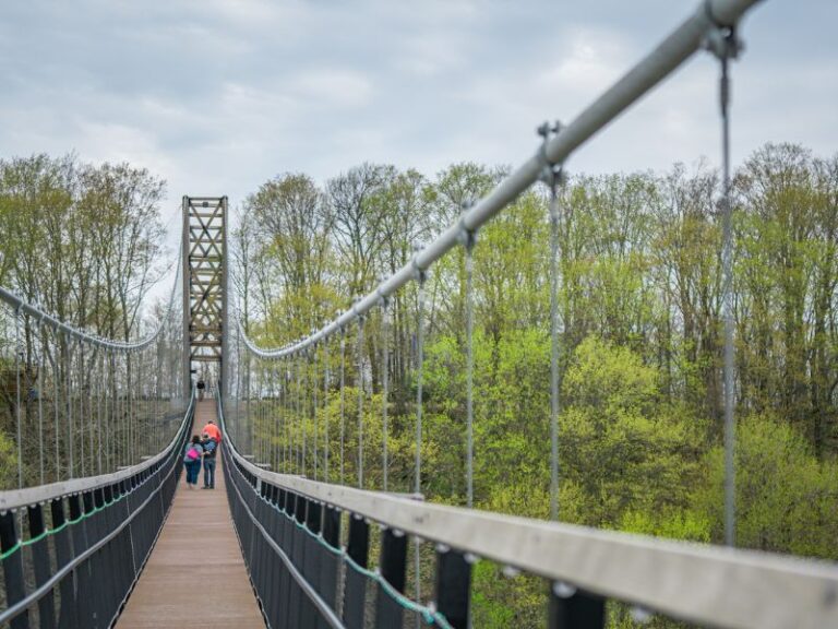 SkyBridge Michigan is the Adrenaline Rush You Need to Experience ...