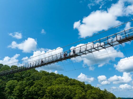 SkyBridge Michigan is the Adrenaline Rush You Need to Experience ...