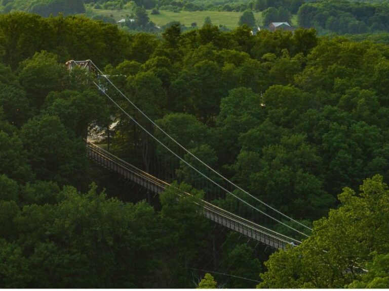 SkyBridge Michigan is the Adrenaline Rush You Need to Experience ...