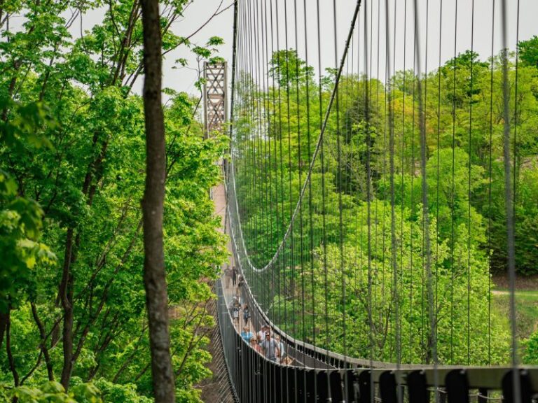SkyBridge Michigan’s Lights in the Sky 2025: Here’s What to Expect this ...