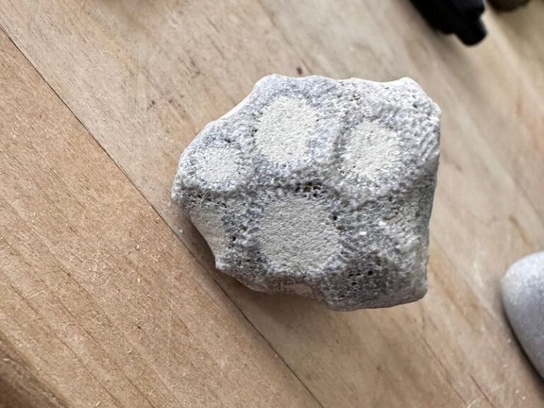 8 Michigan Rock Hunting Places You Want to Know About Right Now ...