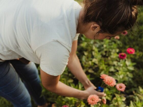 6 Colorful West Michigan Flower Farms that Want You to Come Flower ...
