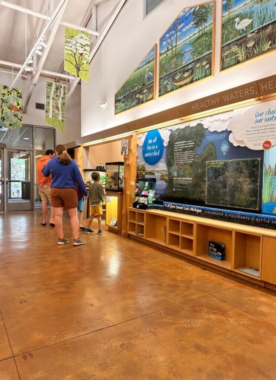 Turtles, Trails & Free Hands-On Nature Activities at Calvin Nature ...