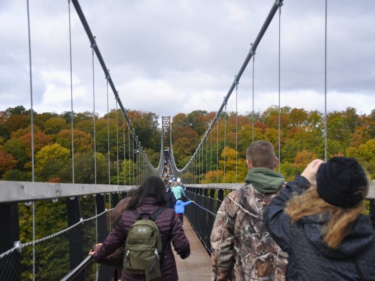 Michigan's SkyBridge is the Exhilarating Destination You've Been ...