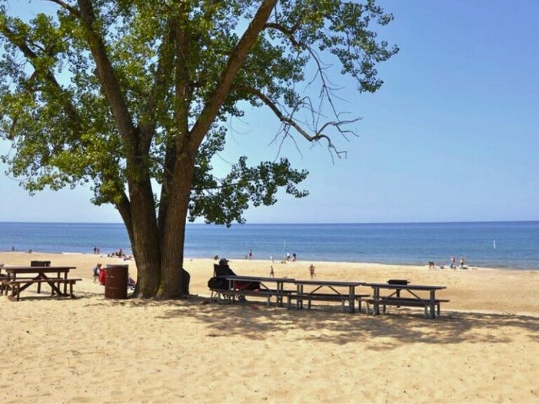 North Beach Park 2025: The Secret Lake Michigan Beach that Families ...