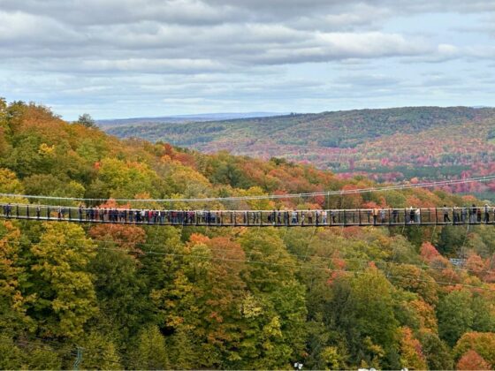 Michigan's SkyBridge is the Exhilarating Destination You've Been ...