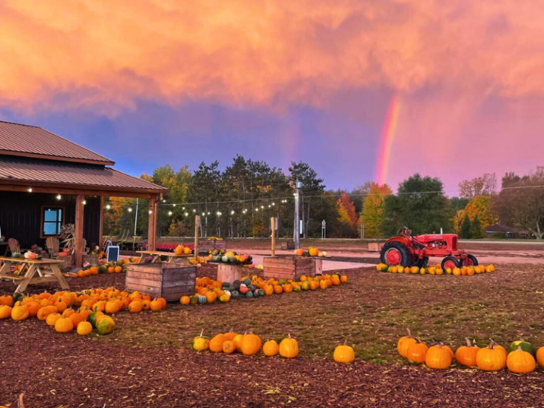 Head to Deep Roots for Farm Fresh Donuts, Corn Maze, Glow Nights & More ...