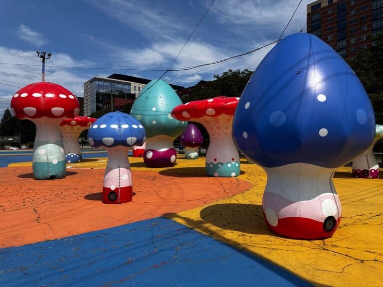 GR’s Return to the River 2025: Everything You Need to Know Before You ...