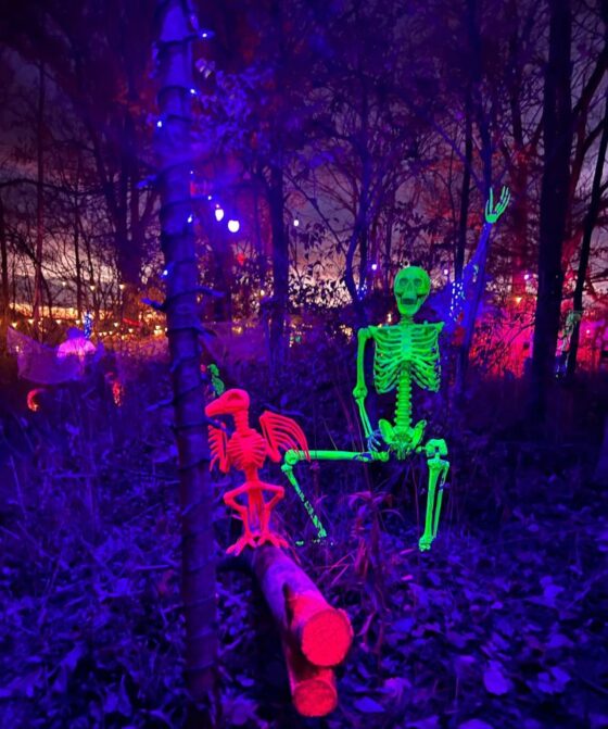 Cannonsburg's Haunted Forest, Spooky Trails Return October 2025 ...