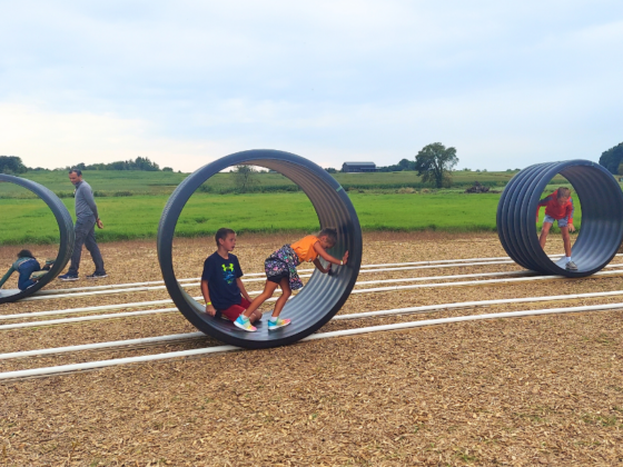 Ed Dunneback Farms 2025: GR's Ultimate Fall Hangout Spot - grkids.com