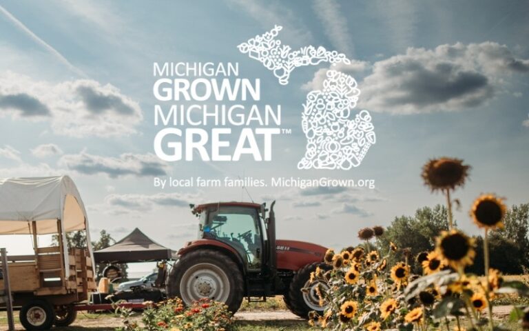 6 Colorful West Michigan Flower Farms that Want You to Come Flower ...