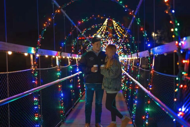 SkyBridge Michigan’s Lights in the Sky 2025: Here’s What to Expect this ...