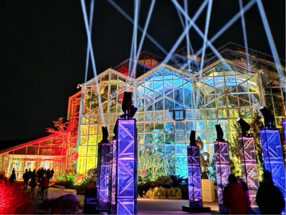 Now Open! Meijer Gardens Light Show, ENLIGHTEN, Returns for Another Jaw ...