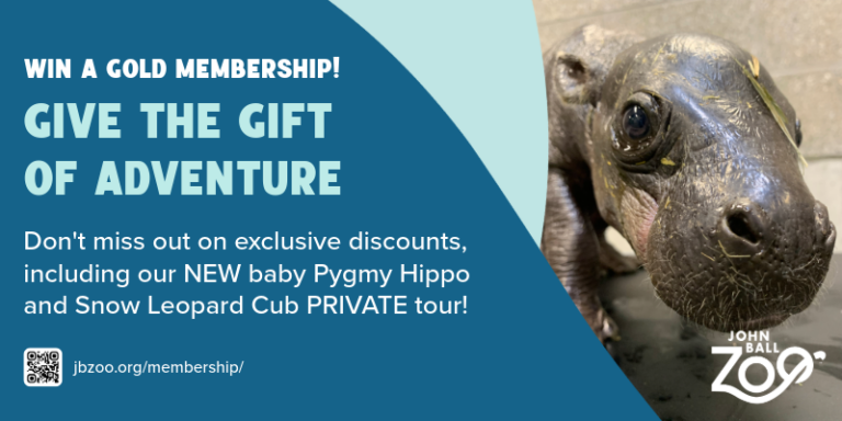 WIN Big with John Ball Zoo’s Holiday Giveaway & Exclusive Membership ...